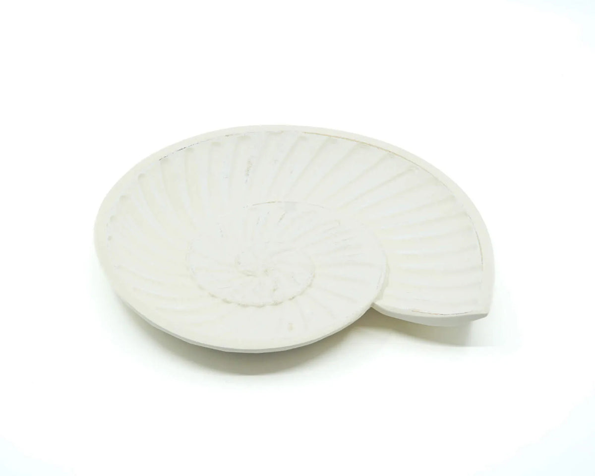 Harp Shell Trinket Tray - Cream | Customised Home